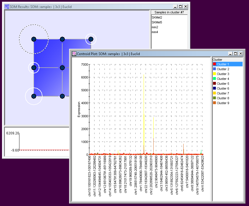Visualizations Dna Sequencing Software Sequencher From Gene Codes